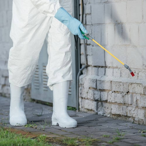 Redwood Empire Termite and Pest Control Offers Pest Control Services in ...